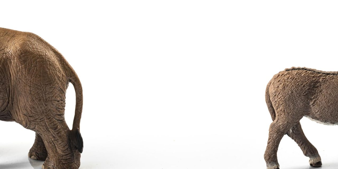 Why and How Should We Understand the Aging of Political Party ...