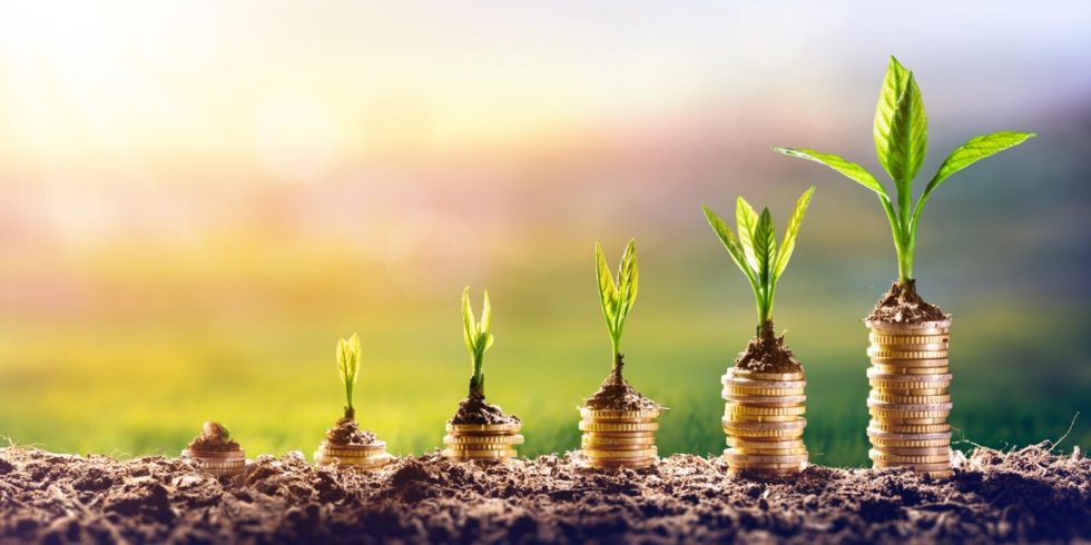 Key Financial Planning Considerations for Solo Agers - ASA Generations