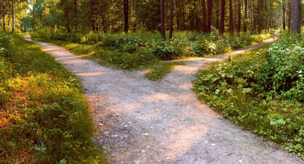 Two Countries, Two Paths to Long-Term Care - ASA Generations
